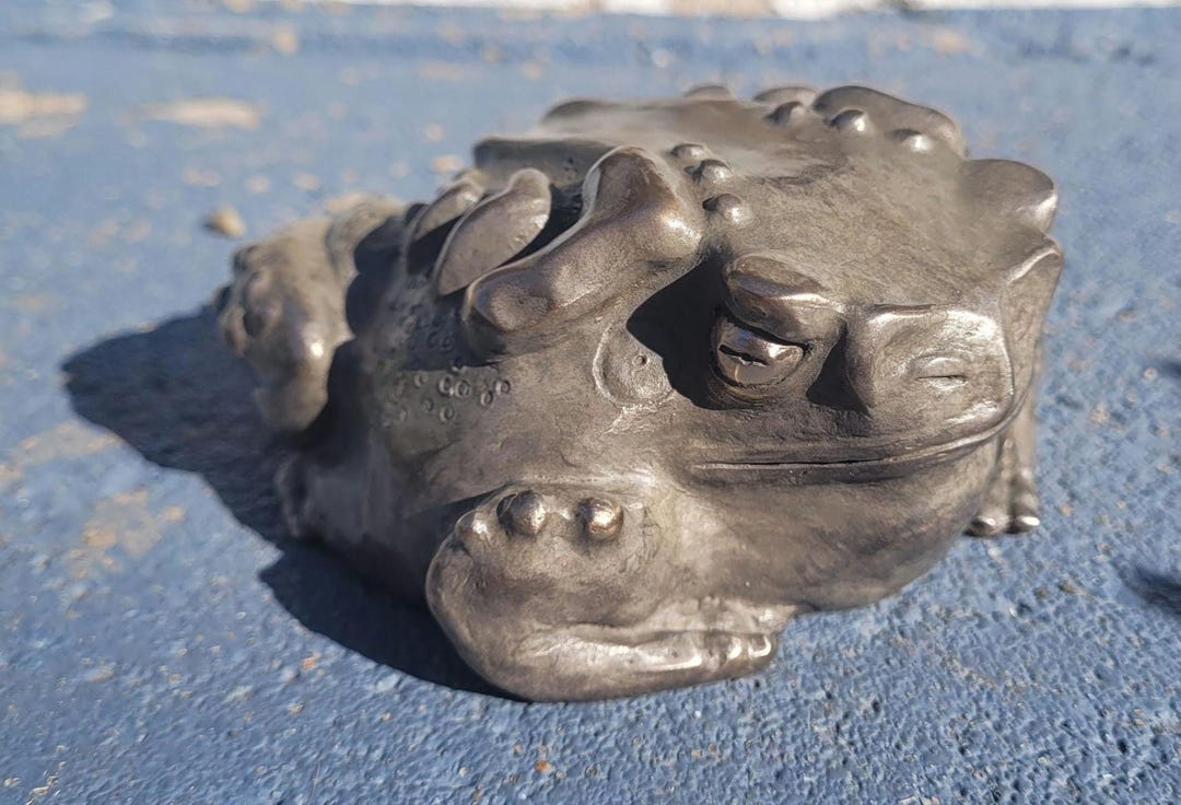 Garden Toad: Silver Nitrate, Edition 12/50 - Etsy