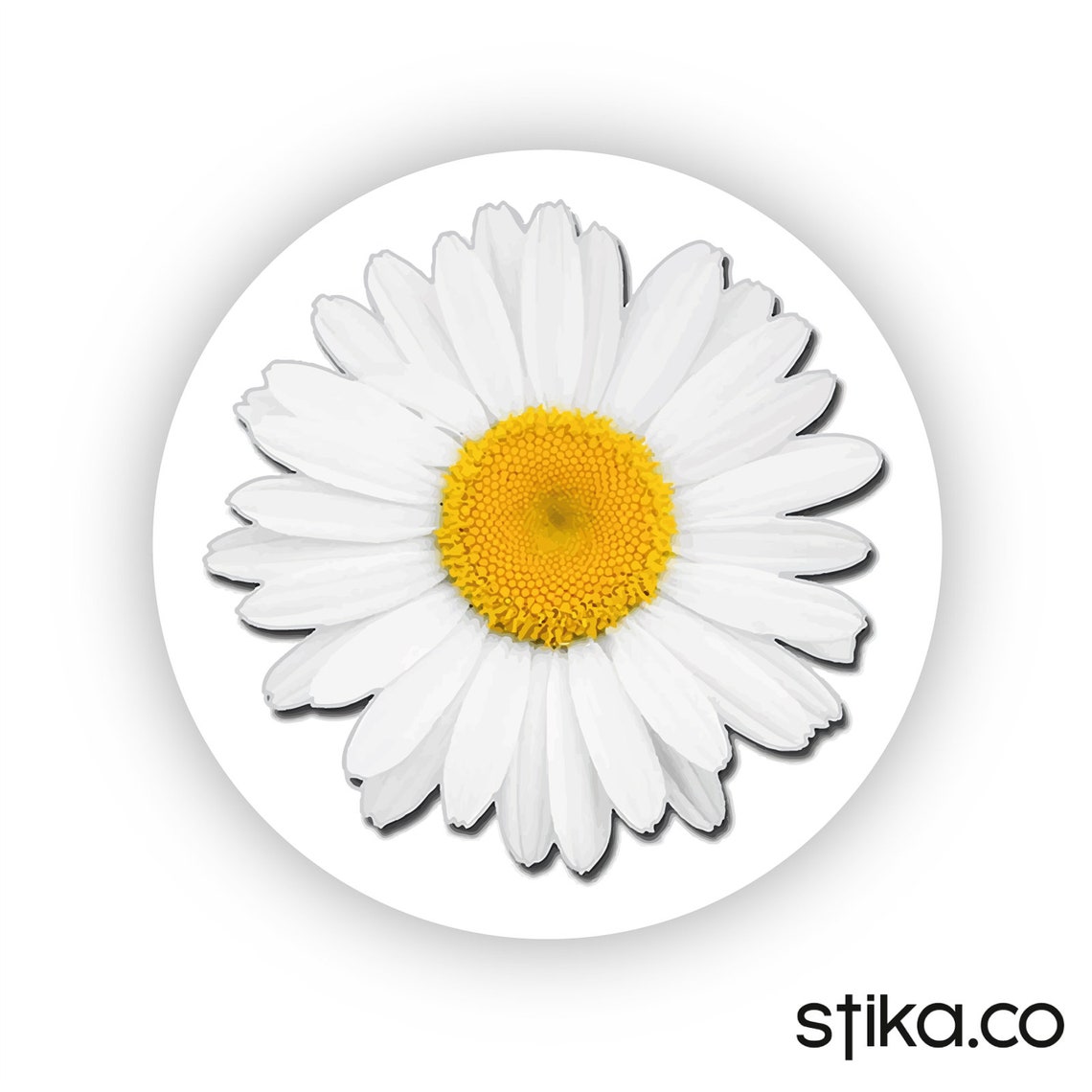 Pack of 24 72 240 Daisy Paper Labels Daisy Flower Adhesive | Etsy