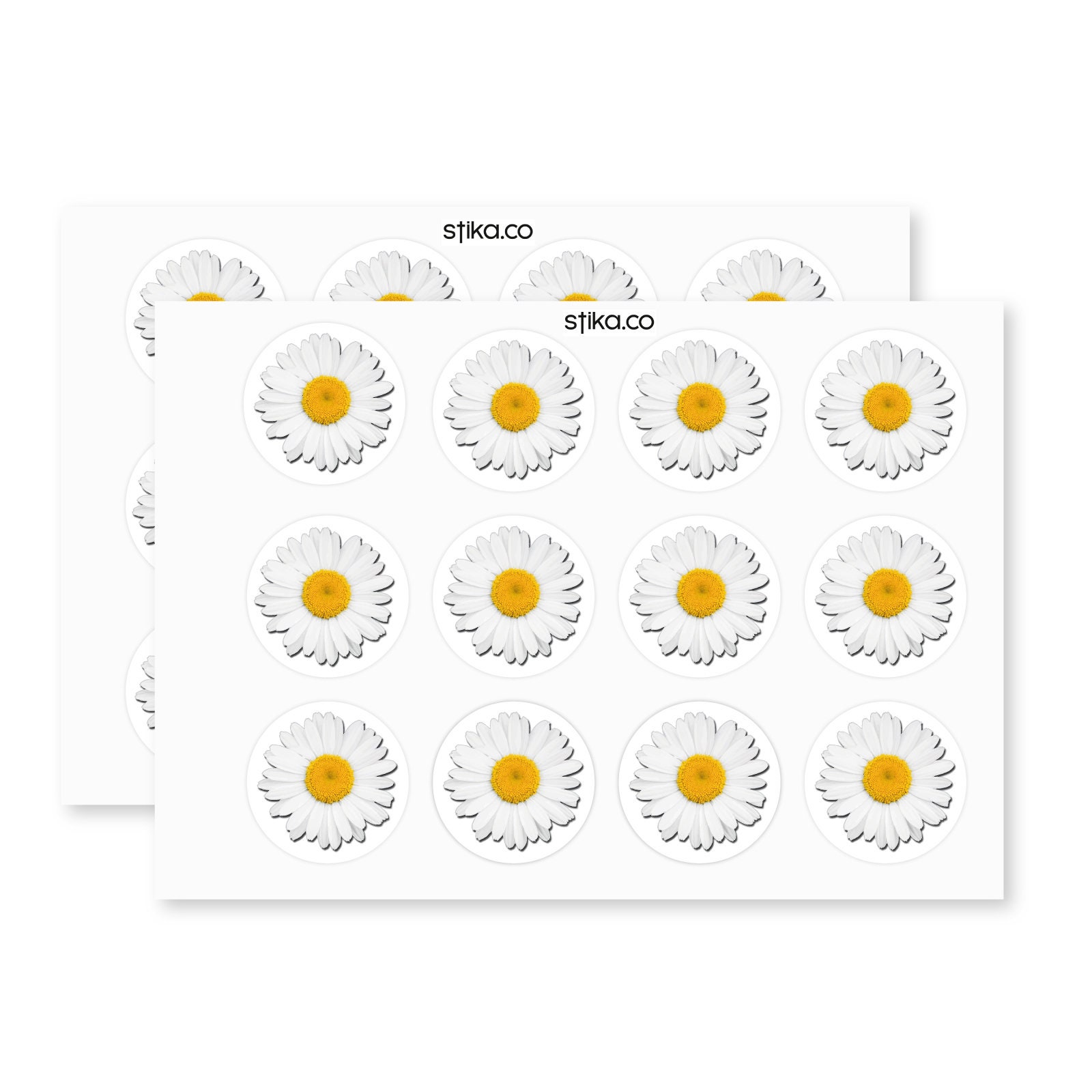 Pack of 24 72 240 Daisy Paper Labels Daisy Flower Adhesive - Etsy