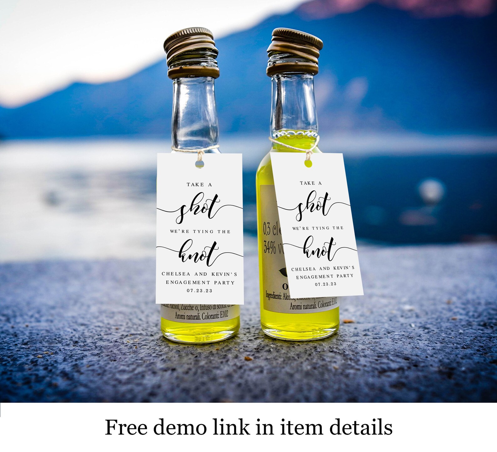 Mini Alcohol Tags Template, Party Favors, Take A Shot We're Tying the ...