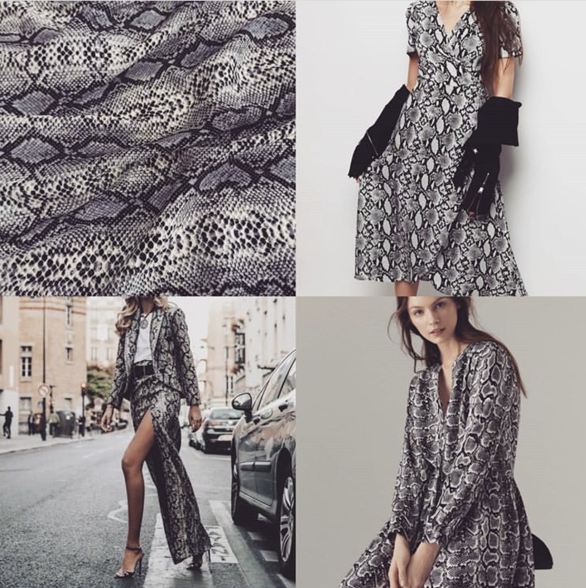 Snake Print Fabric Animal Print Fabric Python Print Fabric | Etsy