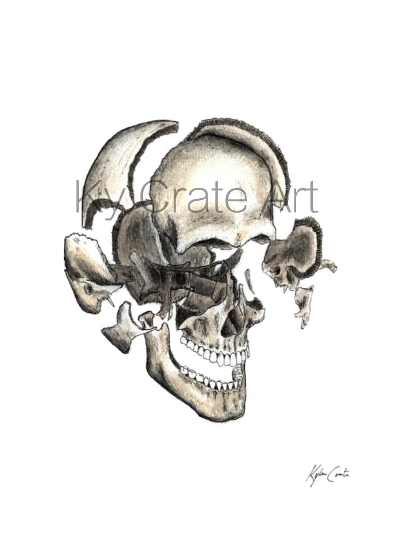 Exploding Skull Print - Etsy