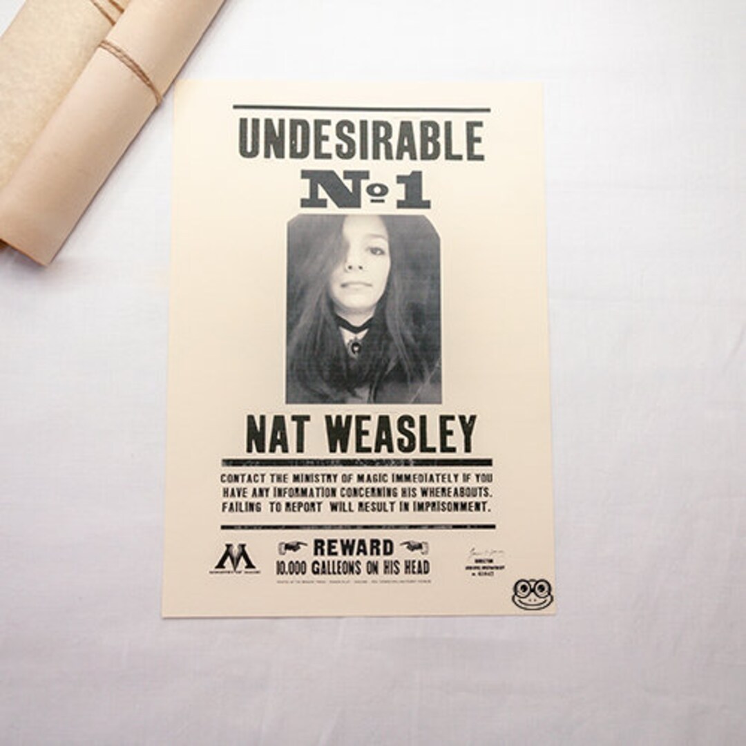 Personalized Poster. Undesirable. Umbridge. Hogwarts. Paper Poster ...