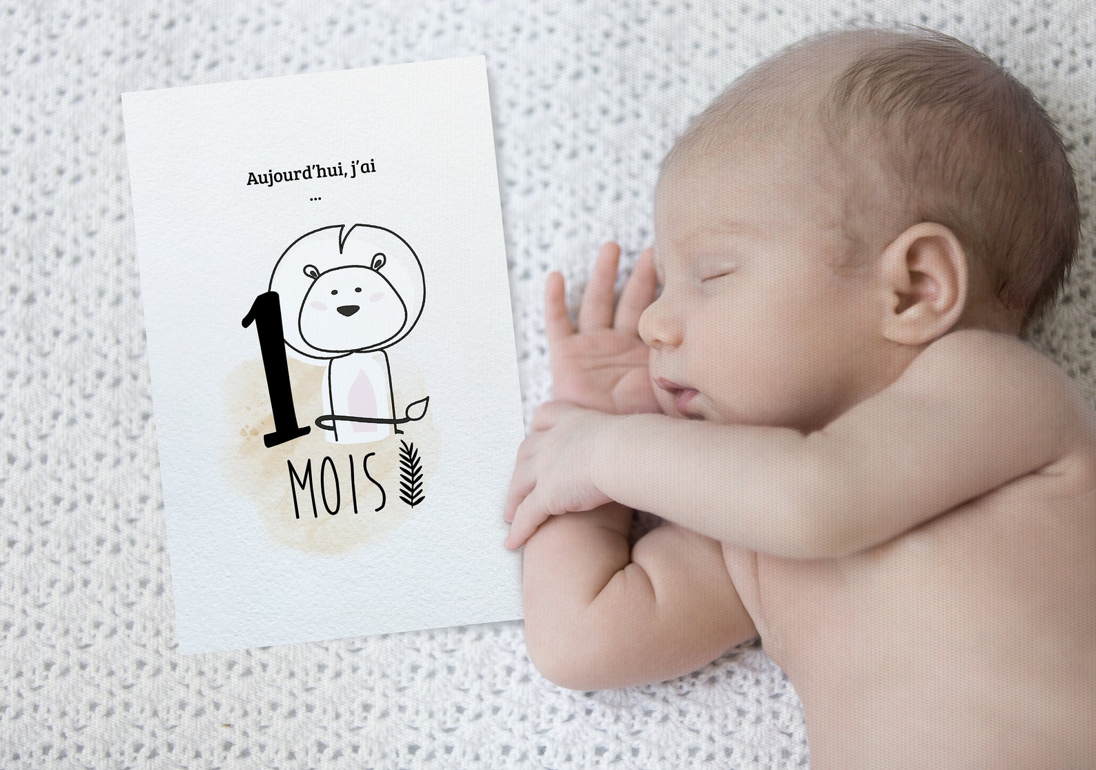 Set of 12 Cards for First Year Baby Birth Bohemian Animal - Etsy