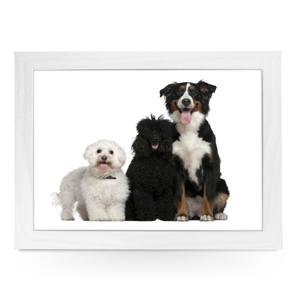 Three Breeds of Dogs Lap Tray L0080 Personalised Gift | Etsy