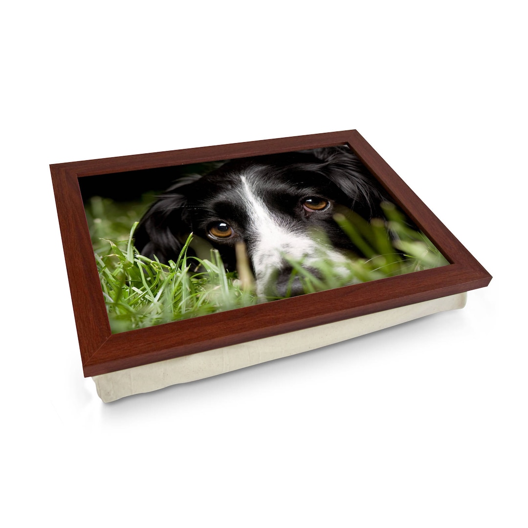 Black Springer Spaniel Dog Photo Lap Tray L584 Personalised - Etsy