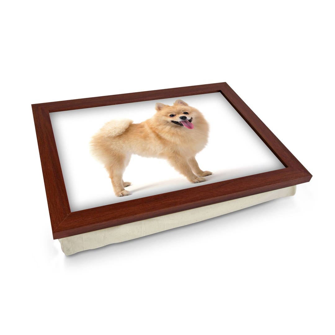 Pomeranian Dog Lap Tray L0124 Personalised Gift Unique Gift Cushioned ...