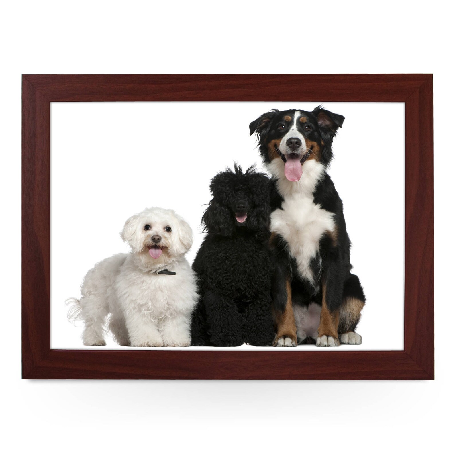 Three Breeds of Dogs Lap Tray L0080 Personalised Gift | Etsy