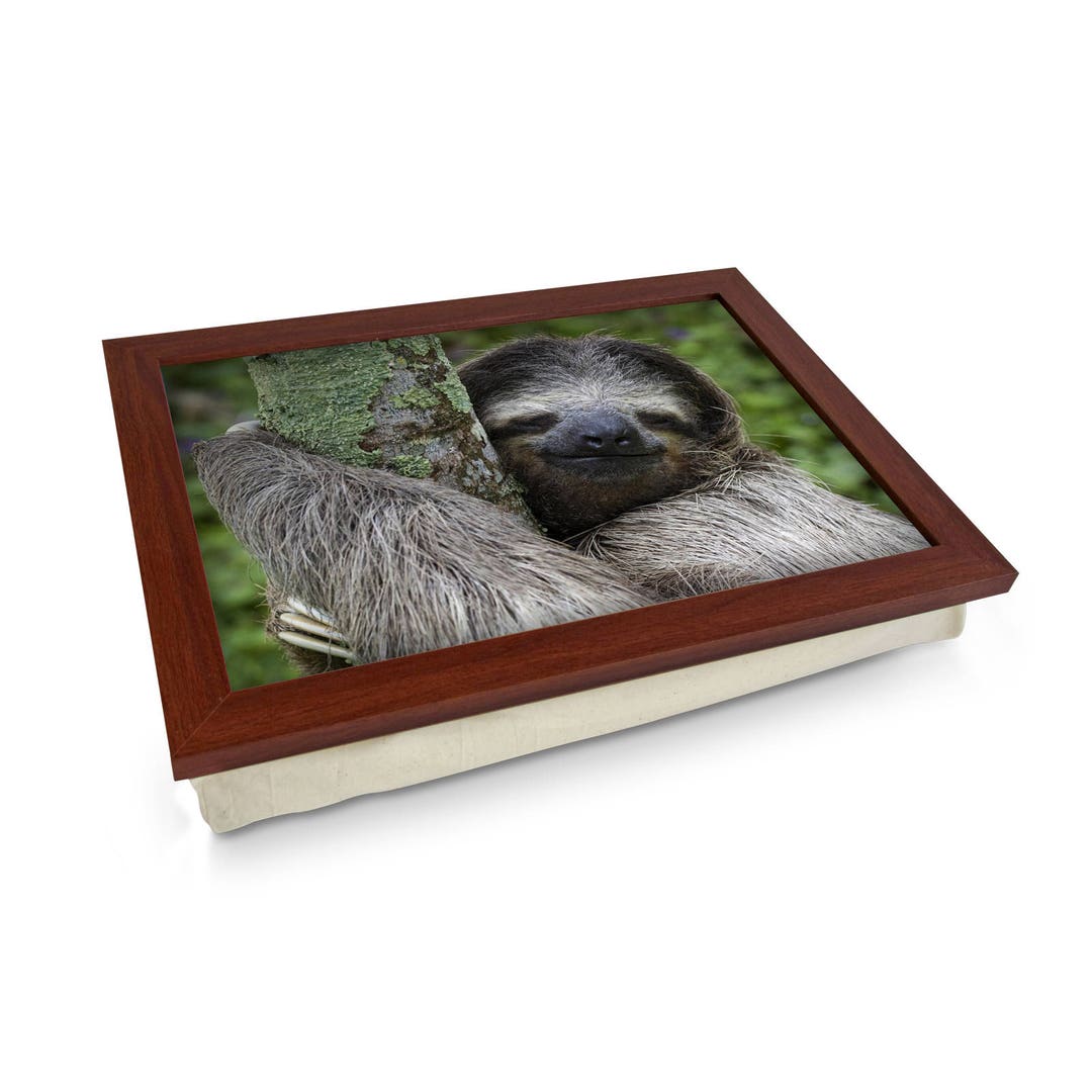 Sloth Photo Lap Tray L749 | Personalised Gift | Cushioned Dinner Tray ...