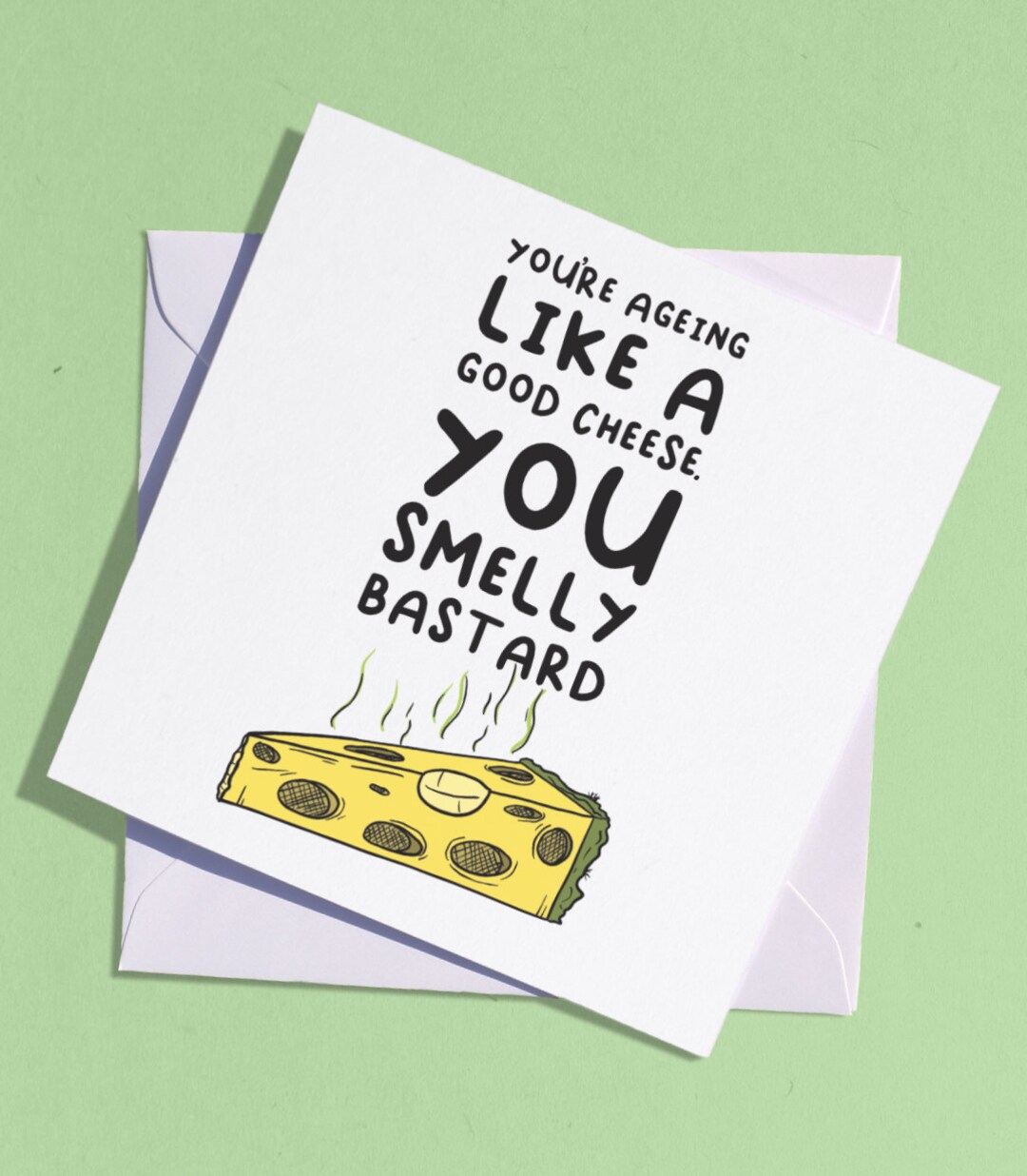 Mean Birthday Card / Smelly Birthday Greetings / Sibling - Etsy
