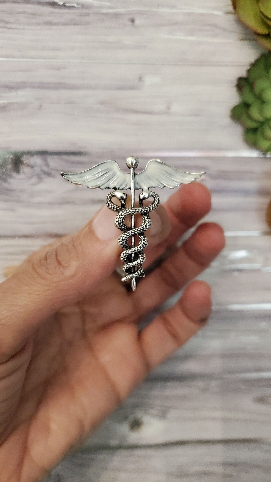 Nurse Pin for the Pinning Ceremony Student Nurse Graduation Gifts Small ...