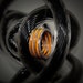 Onyx Black Orange Wood Ring - Spectraply Onyx Black Orange Wood Ring ...