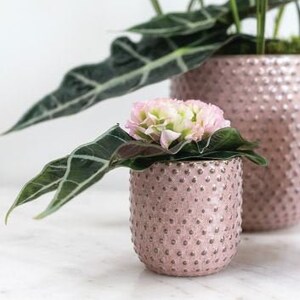 Soft Pink Ceramic Pots Flowers or Plants Home or Office Decor 3 Sizes ...