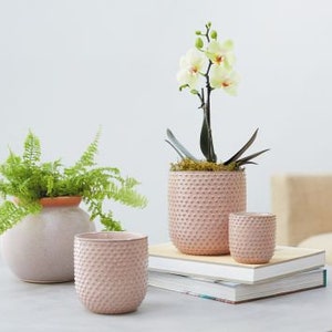 Soft Pink Ceramic Pots Flowers or Plants Home or Office Decor 3 Sizes ...