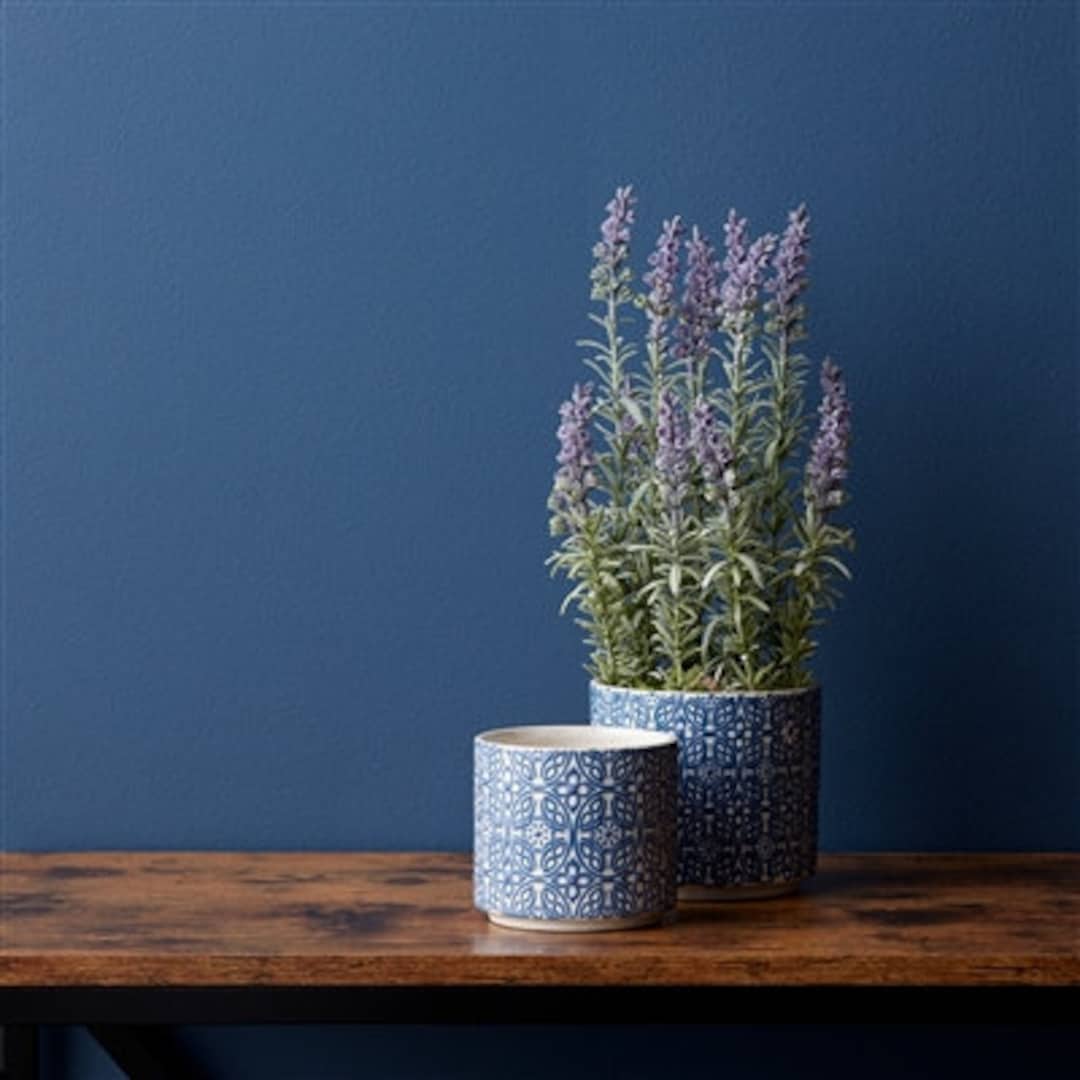Blue and White Plant Pots Ceramic Set of 2 Sizes Home & Office ...