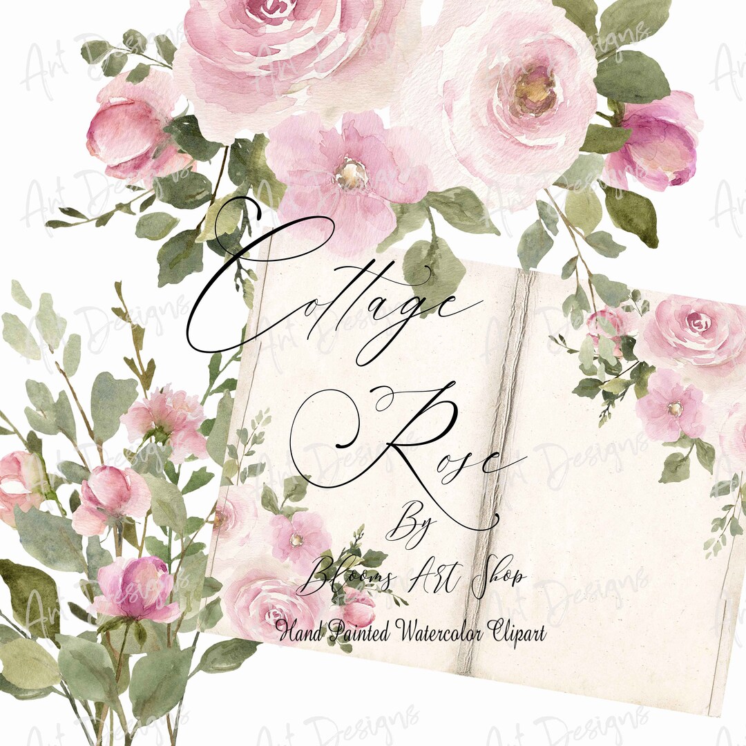 Peony Rose Floral Clipart, Pink Peony Rose Digital Floral Clipart Blush ...