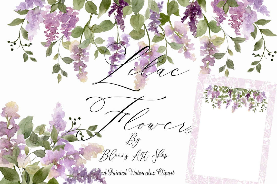 Watercolor Lilac Floral Clip-art Wedding Lilac Bouquets Seamless ...