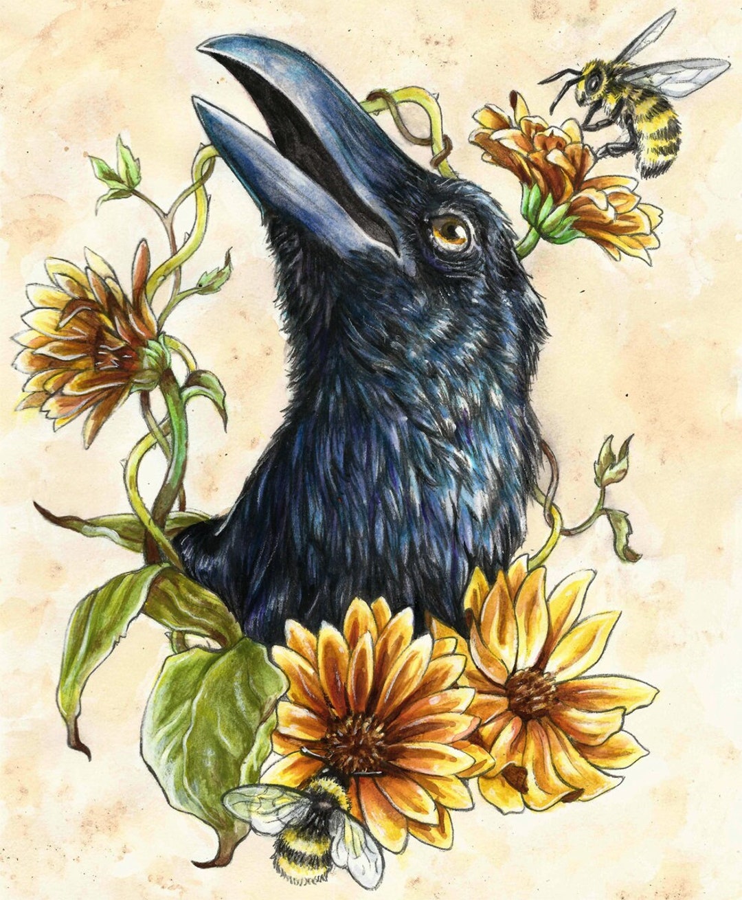 Sunflower Crow Print - Primitive Art - Country Art - Dark Art ...