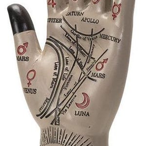 Unique Large Palmistry Hand Statue ( Left-handed Palm-reading Statue ...