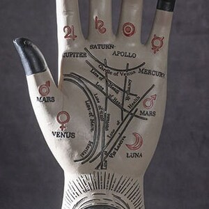 Unique Large Palmistry Hand Statue ( Left-handed Palm-reading Statue ...