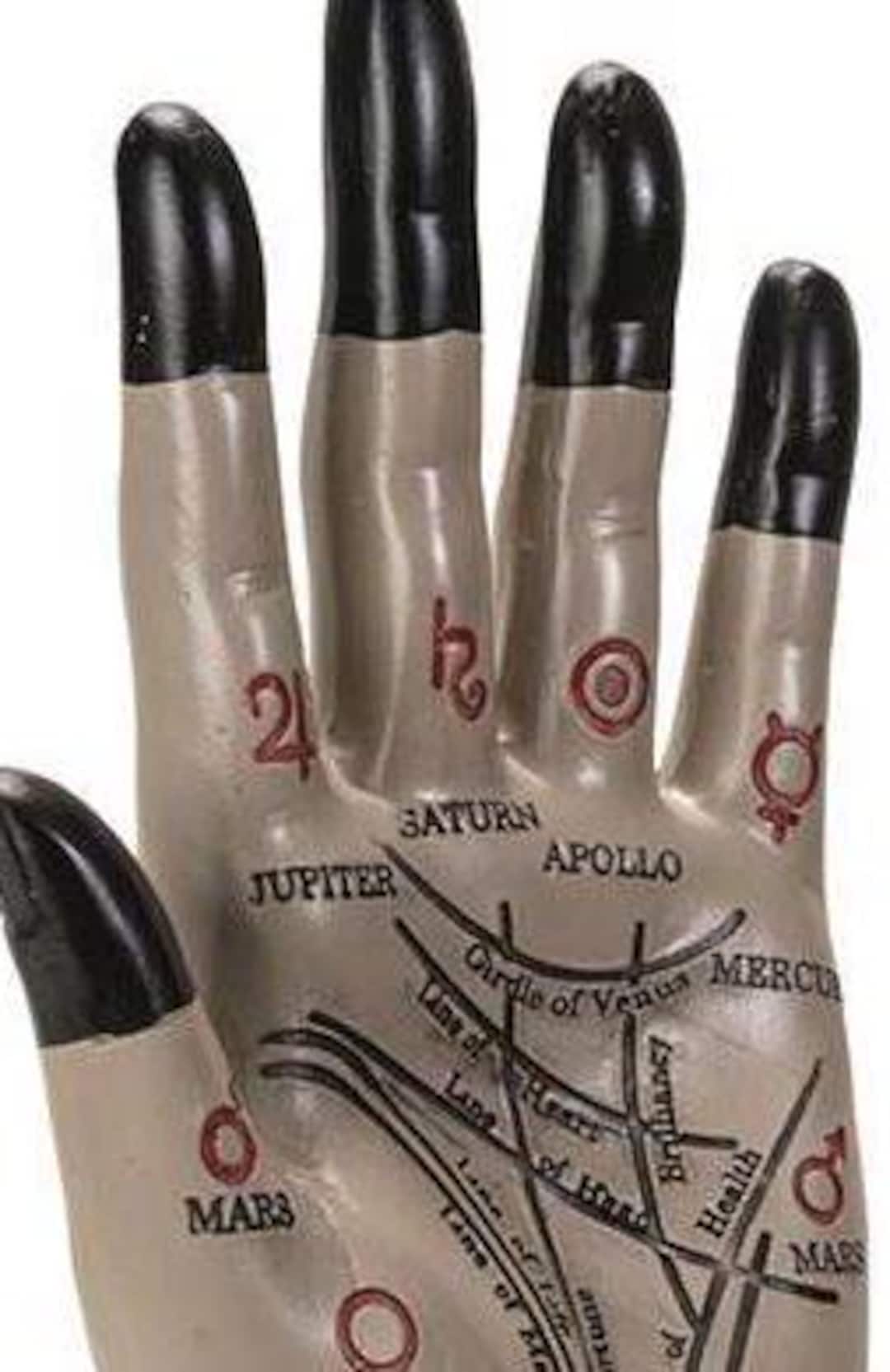 Unique Large Palmistry Hand Statue ( Left-handed Palm-reading Statue ...