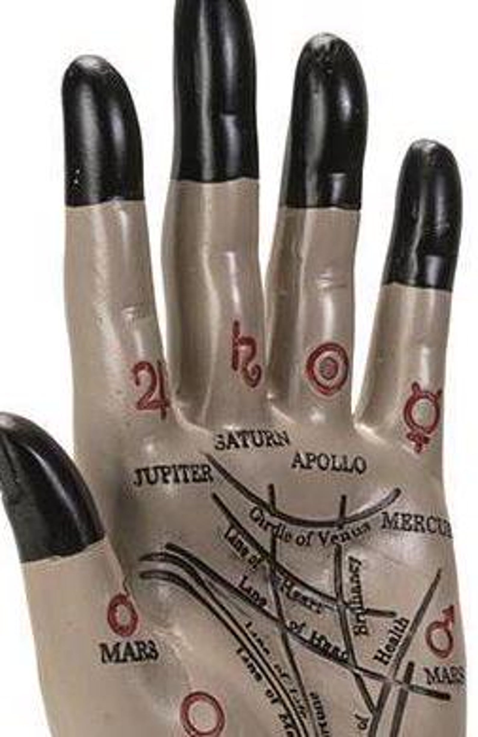 Unique Large Palmistry Hand Statue ( Left-handed Palm-reading Statue ...