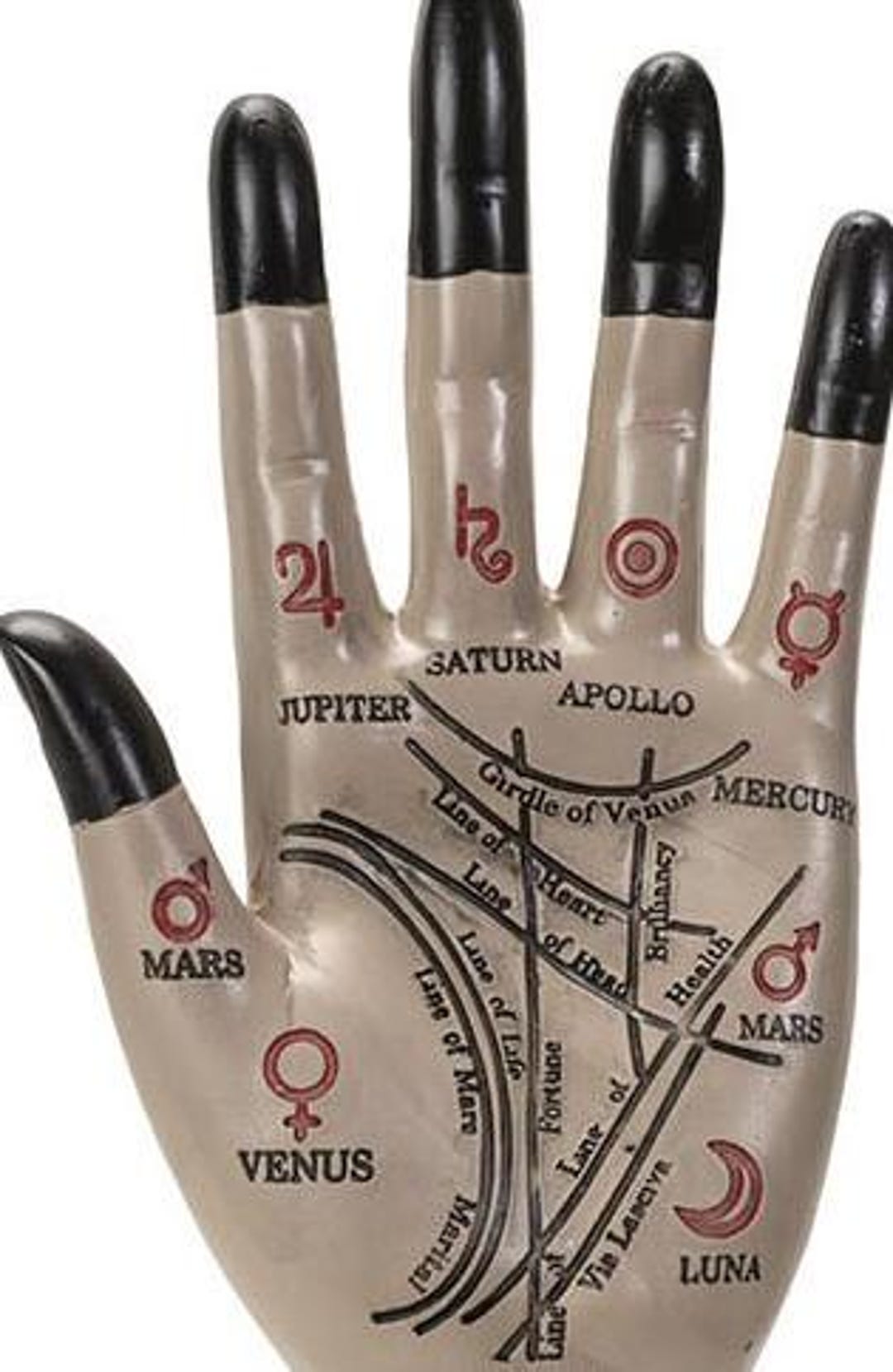 Unique Large Palmistry Hand Statue ( Left-handed Palm-reading Statue ...