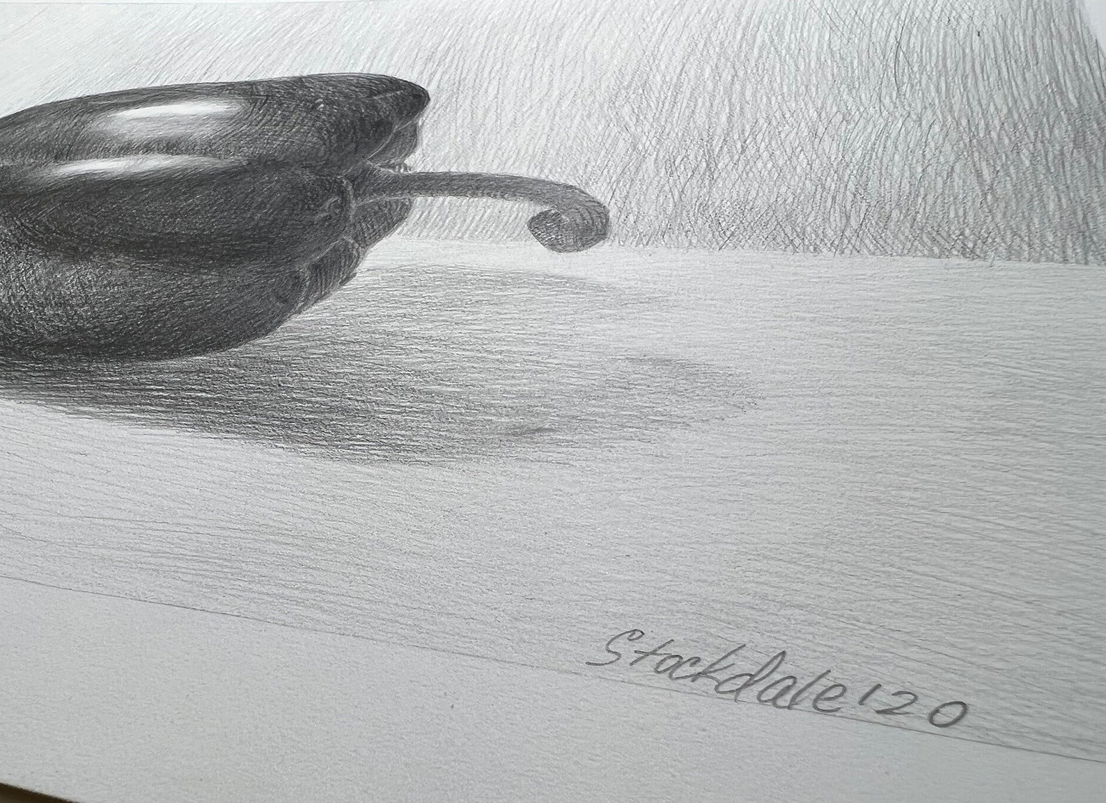 Sweet Pepper Graphite Pencil Drawing - Minimalist Kitchen Art, Pencil ...