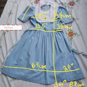 Alice in Wonderland Classic Blue Velvet Pinafore Dress Victorian Style ...