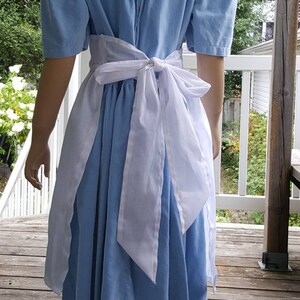 Alice in Wonderland Classic Blue Velvet Pinafore Dress Victorian Style ...