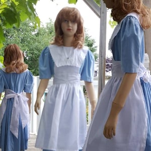 Alice in Wonderland Classic Blue Velvet Pinafore Dress Victorian Style ...