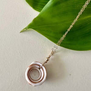 Puka Shell Pendant and Chain - Etsy