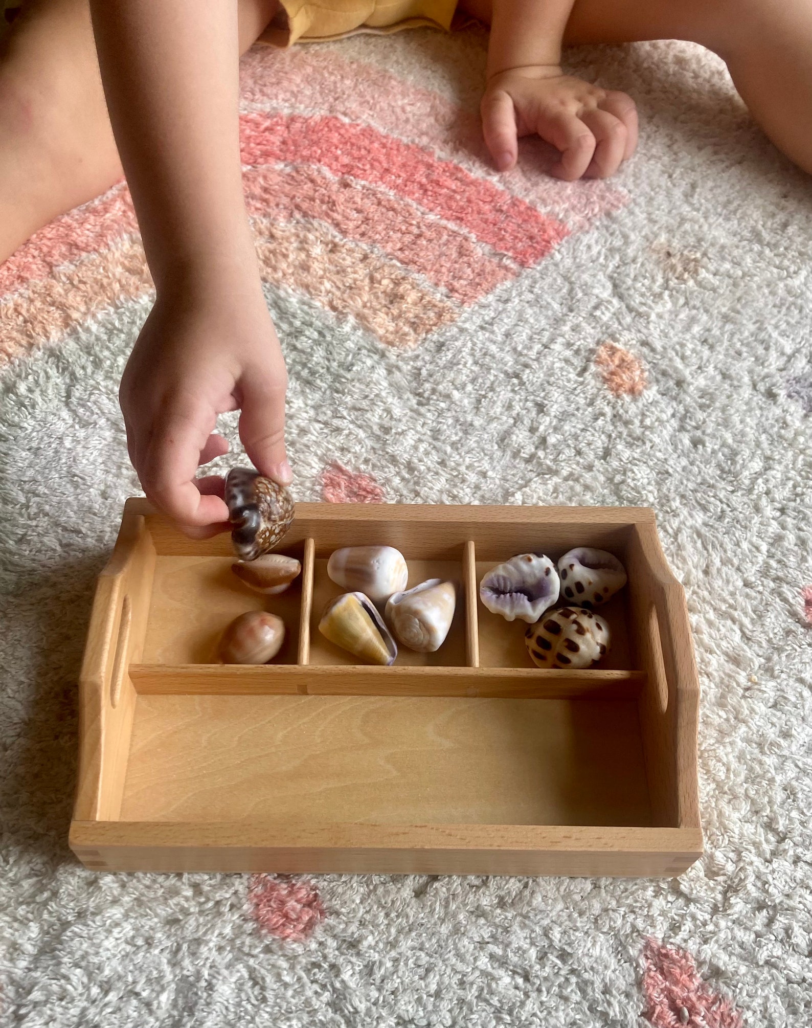 Montessori Hawaiian Shell Sorting Tray - Etsy
