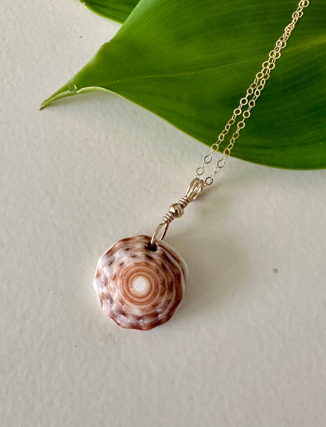 Puka Shell Pendant and Chain - Etsy