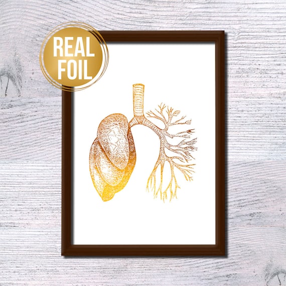 Human Lungs Anatomy Poster Real Gold Foil Human Lungs Print | Etsy India