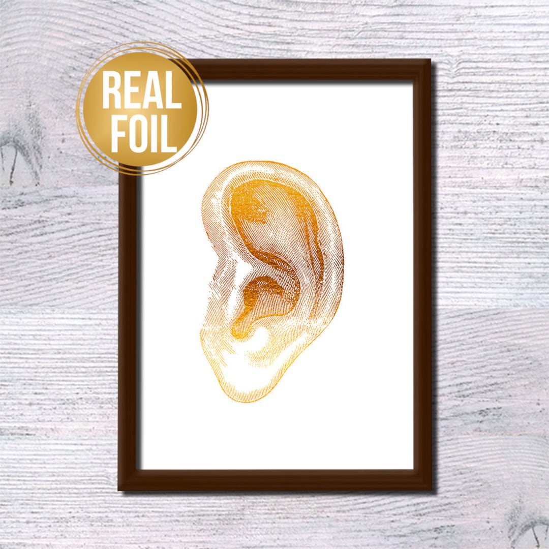 Human Ear Print Human Ear Real Foil Poster Real Gold Foil Medical Print ...