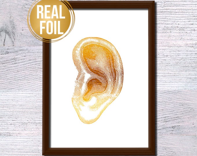 Human Ear Anatomical Gold Foil Art Print - Anatomy Wall Art - Medical ...