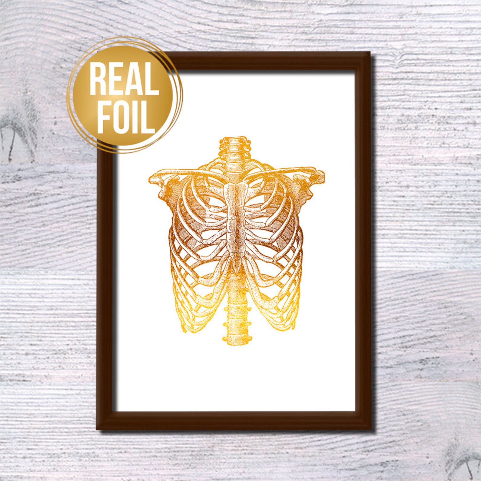 Human Ribs Poster Human Ribs Print Real Foil Poster Scientific Poster ...