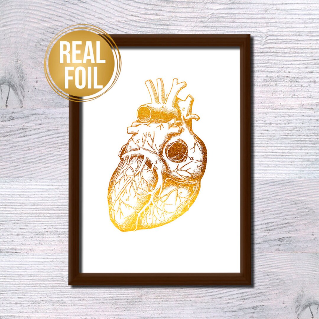 Human Heart Blood Flow Poster Human Heart Gold Foil Print Blood Flow ...