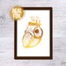 Human Heart Blood Flow Poster Human Heart Gold Foil Print - Etsy