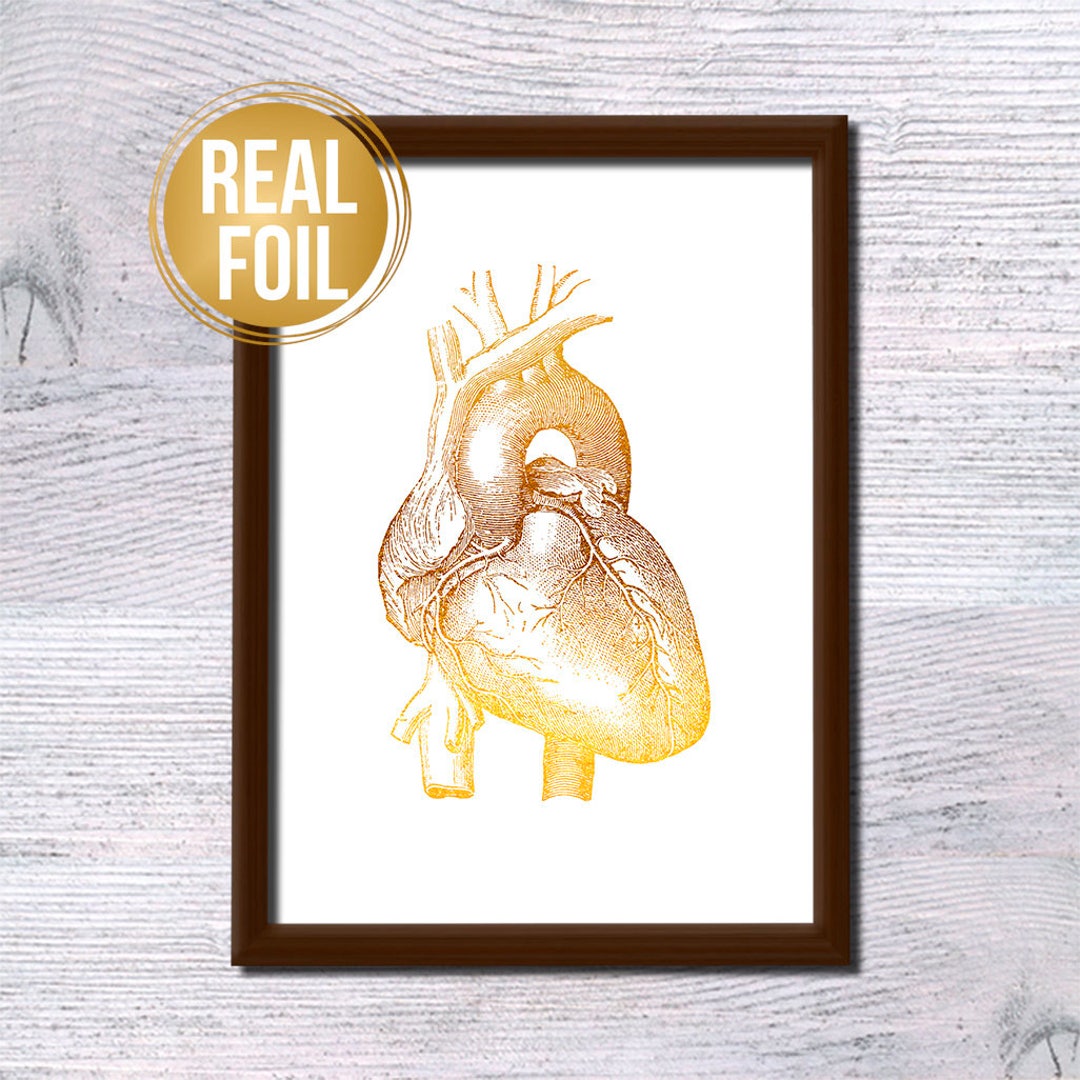 Heart Real Foil Print Human Heart Poster Gold Foil Wall Decor Anatomy ...