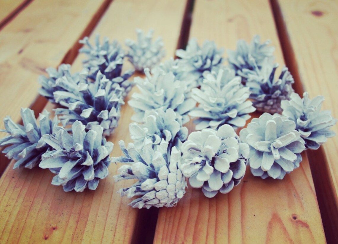 Set of 30 White Pine Cones Natural Pine Cones Floral - Etsy