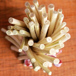 Osier Branch Without BARK, Willow Wicker, BRANCH, Party Decor, Craft ...