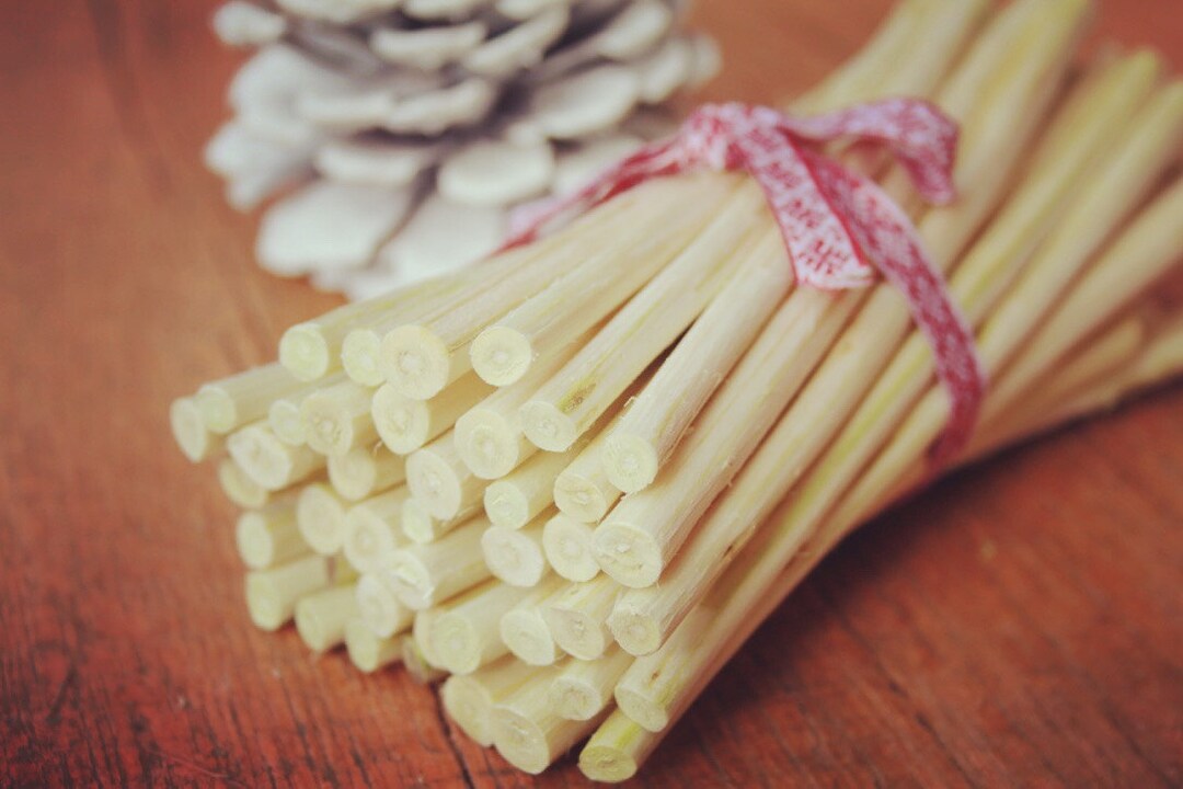 Osier Branch Without BARK, Willow Wicker, BRANCH, Party Decor, Craft ...