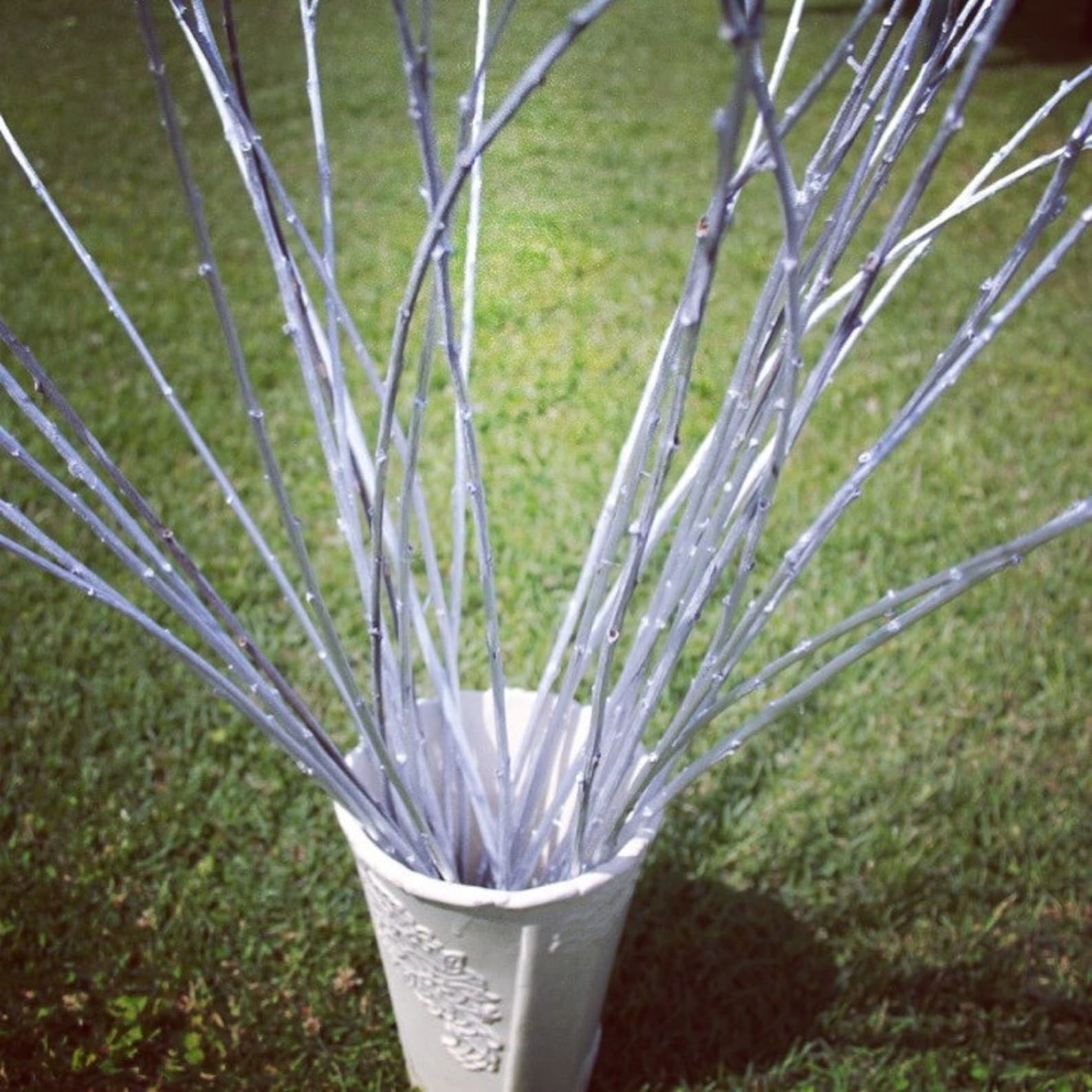 Silver Willow Branches for floral design/ ECO | Etsy