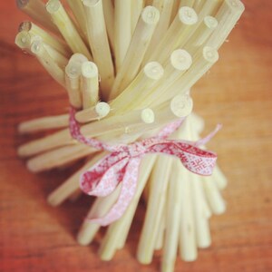 Osier Branch Without BARK, Willow Wicker, BRANCH, Party Decor, Craft ...