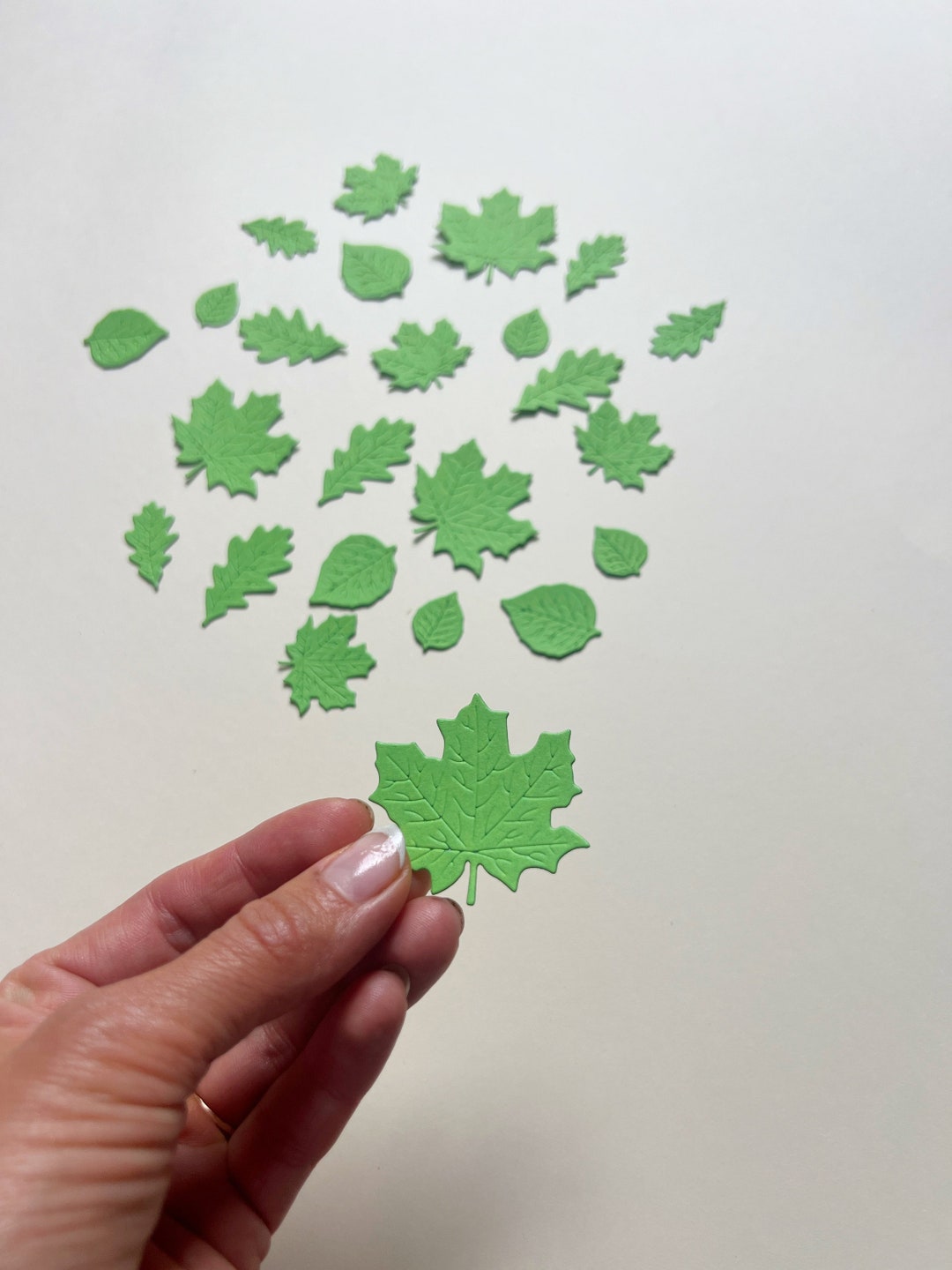 60 Pcs. Mixed LEAVES Die Cut, Paper Leaves, Paper Confetti, Leaves for ...