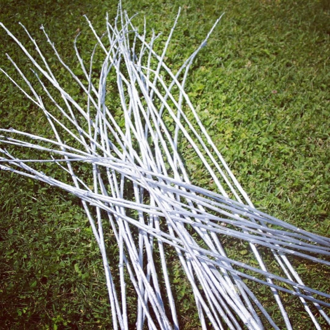 Silver Willow Branches for Floral Design/ ECO Branches/branches/ HOME ...