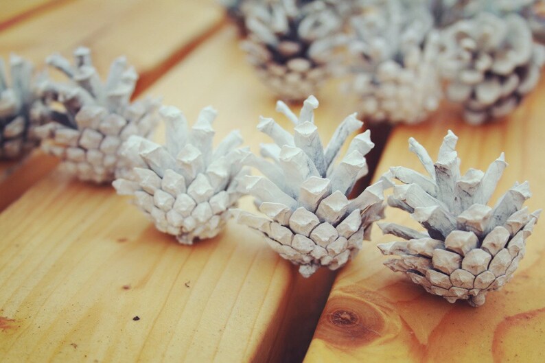 Set of 30 White Pine Cones Natural Pine Cones Floral - Etsy