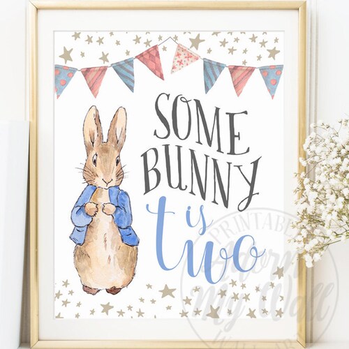 Second Birthday Sign 2nd Birthday Party Sign Peter Rabbit Some | Etsy